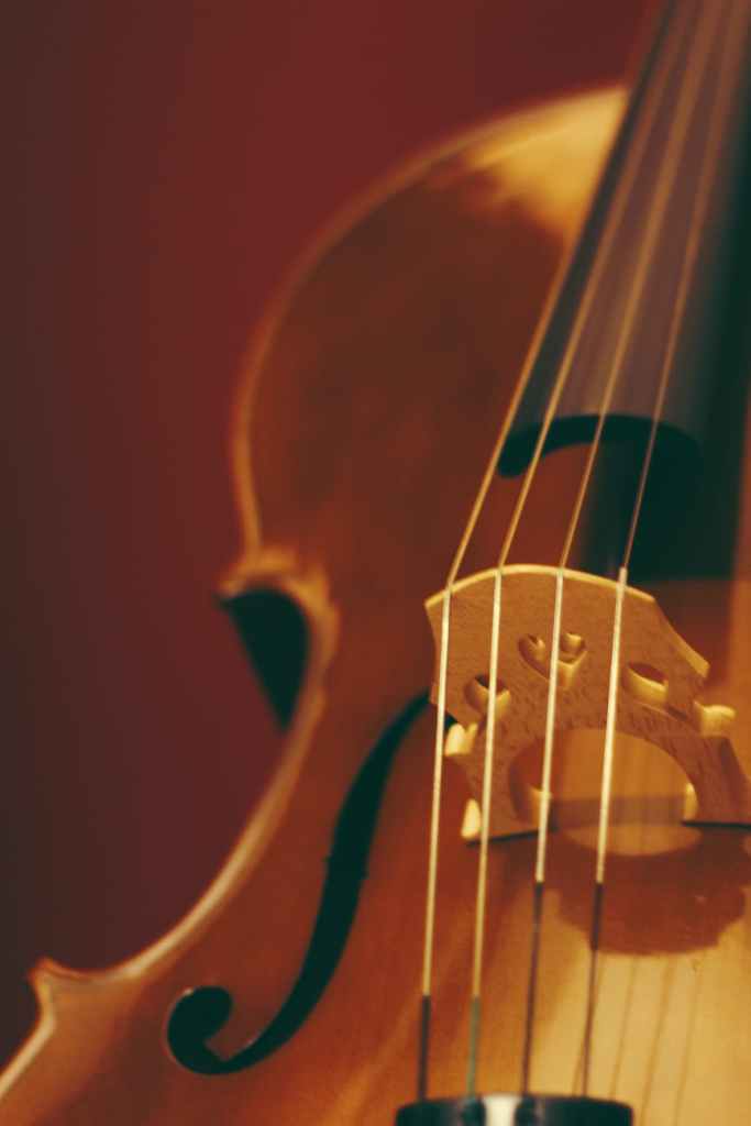 Facts About The Violin