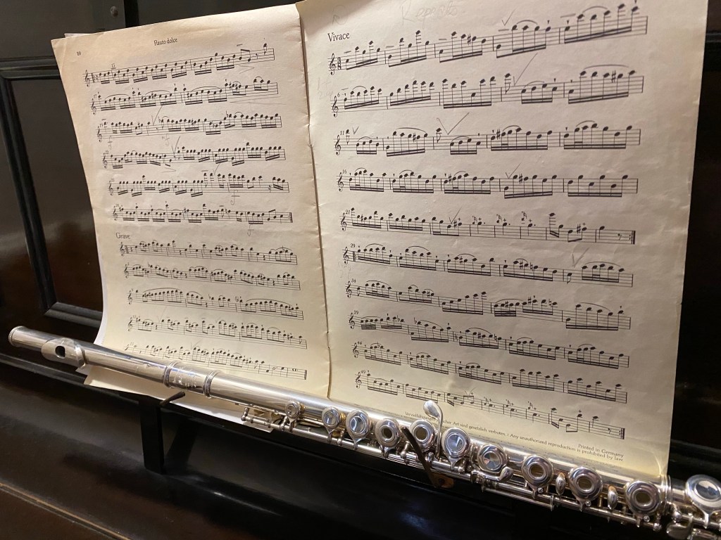 Facts about the flute