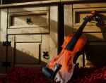 Facts About The Viola