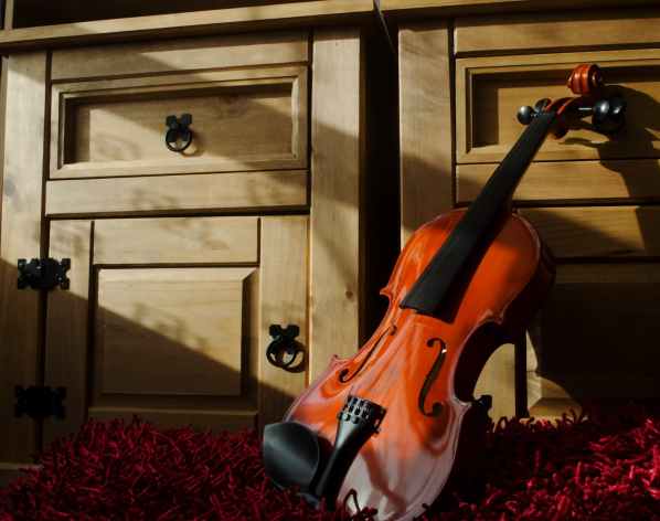 Facts About The Viola