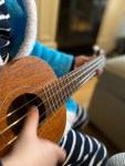 Facts About The Ukulele